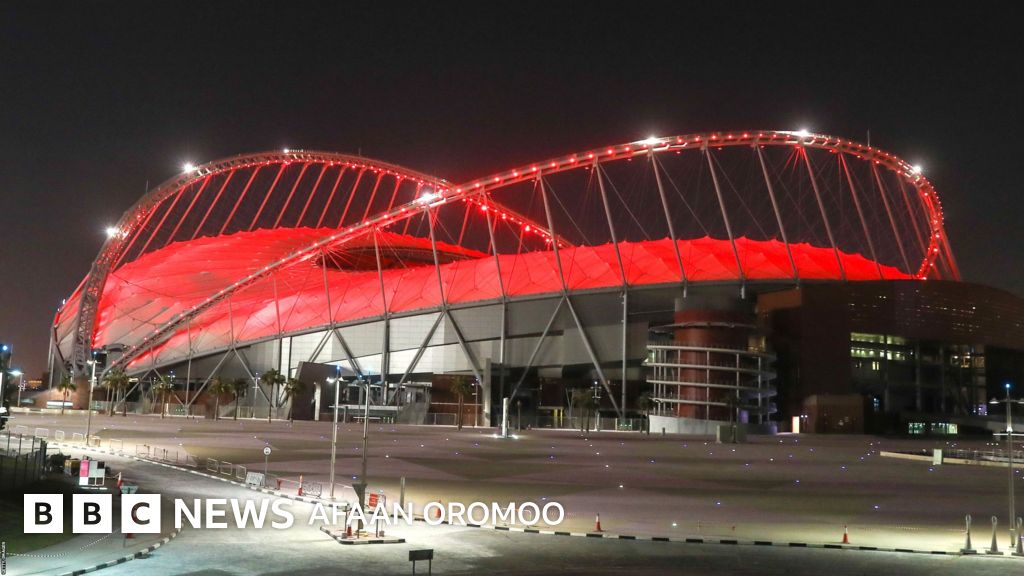 Waancaa Adduunyaa 2022: Qaataar filannoof iccitiiin dogoggorsuun ...