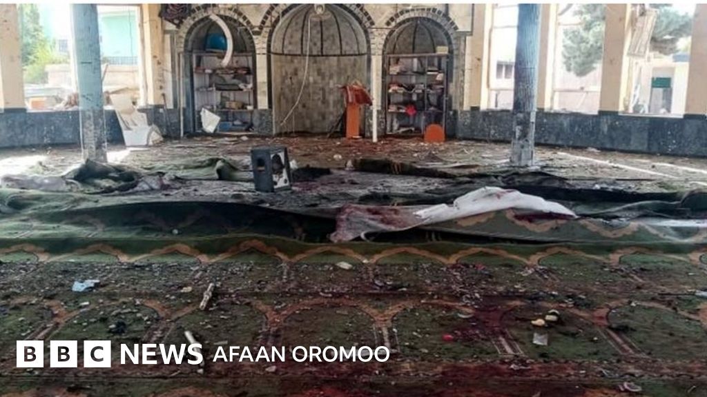 Haleellaa Masjiidaa Afgaanistaan tokkorratti raawwateen yoo xiqqaate ...