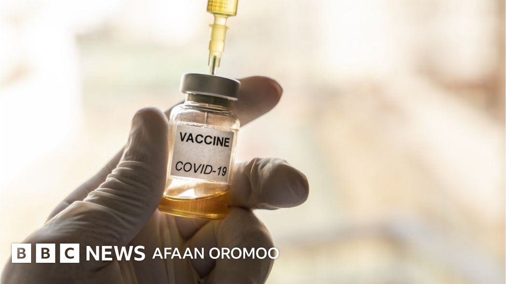 Covid: Itoophiyaan talaallii Covid-19 Ebla dhuftu akka galfattu beeksifte - BBC News Afaan Oromoo