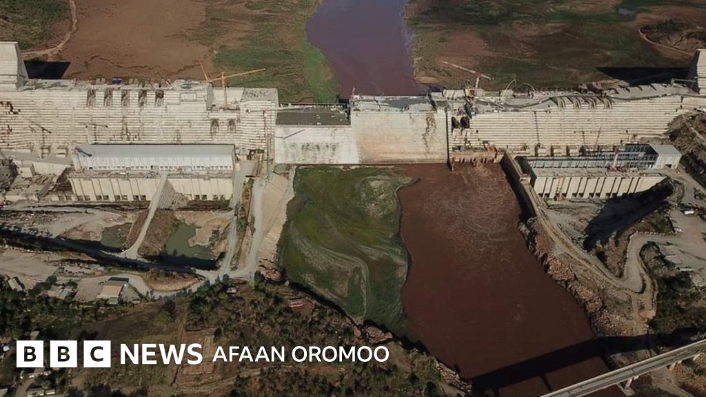 Hidha Haaromsaa፡ Masriin dhimma hidha haaromsaarratti sanada dhiyaate ...