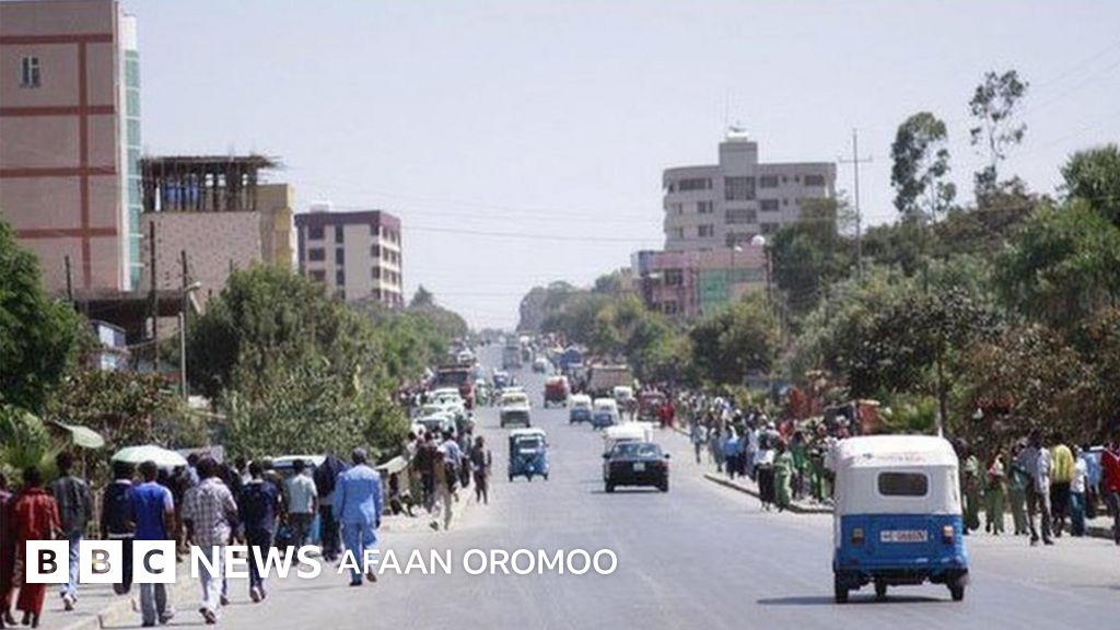 Imala Amboo qabsoo siyaasaarraa gara misoomaatti - BBC News Afaan Oromoo