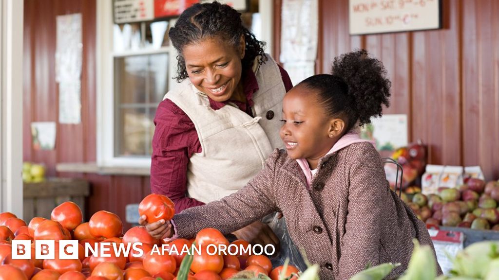 Nyaata akkamiitu umurii kamitti qaama keenyaaf barbaachisa? - BBC News ...