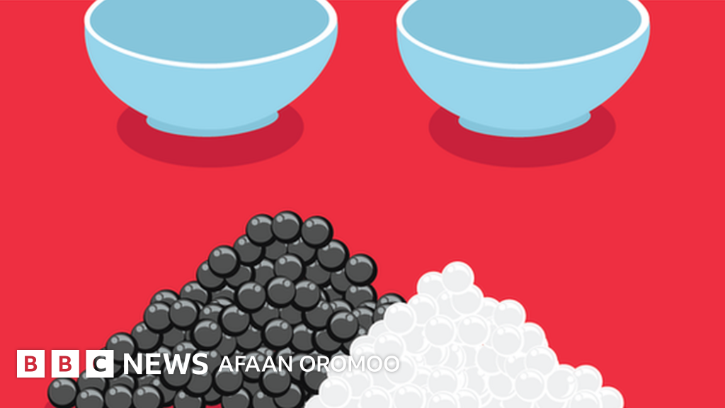 Sammuu kee qori - Hiibboo 10 - BBC News Afaan Oromoo