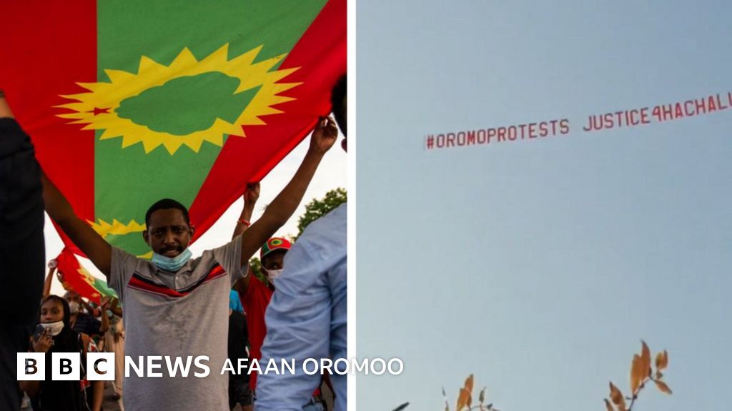 Ajjeechaa Haacaaluu: Mormii hawaasa Oromoo lafoo haga qilleensarraan ...