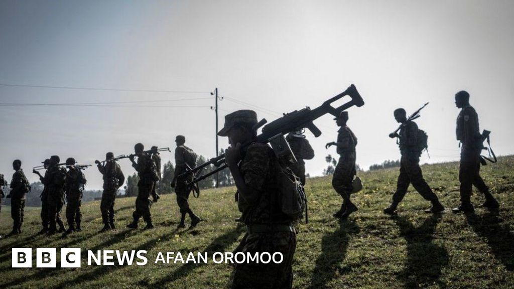 US, EU, Firaans, Jarmanii fi UKn irra deebiin waraanni akka dhaabbatu ...