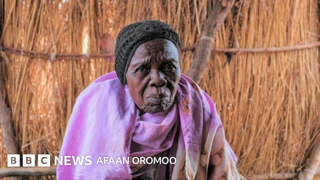 Sudaan biyya diigamte tahuuf akka deemtu hogganaan deeggarsaa ...