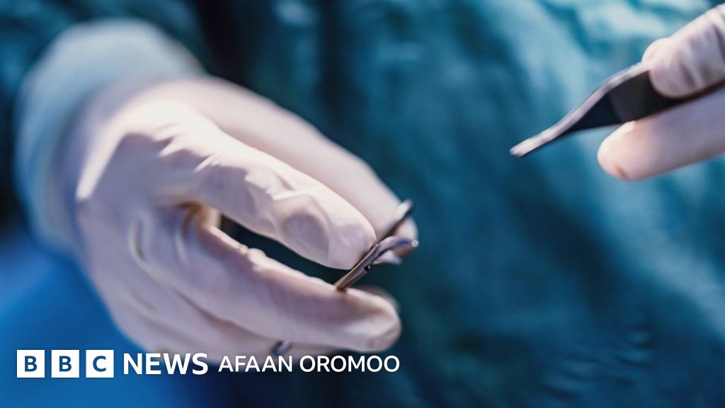 Wal'aansi 'durbummaa deebisuuf' taasifamu akka dhorkamu waamichi ...