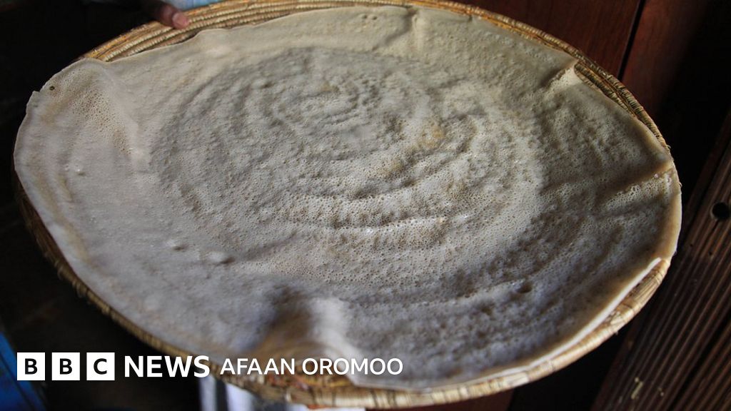 Buddeenni wanta araada nama qabsiisu of keessaa qabaa? - BBC News Afaan ...