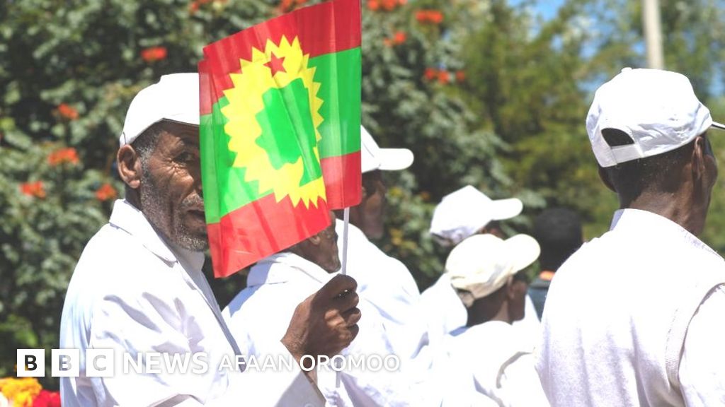 Adda Bilisummaa Oromoo: Dhaabota siyaasaa lama, maqaa tokko - BBC News ...