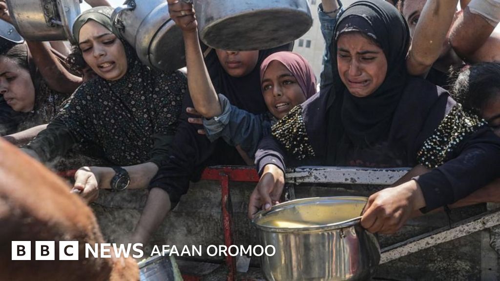 Dhaabbileen 100 Israa'el gargaarsa namoomaa akka meeshaa waraanaatti ...