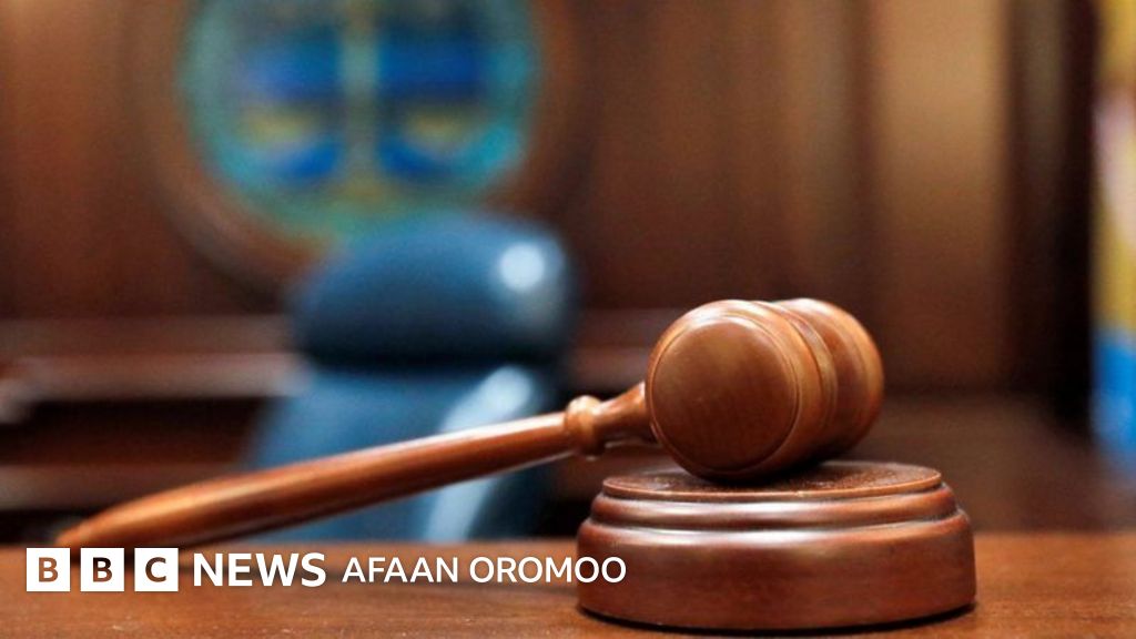 'Abokaatoon sobaa' Keeniyaa dinqisifattootasaa galateeffate - BBC News ...