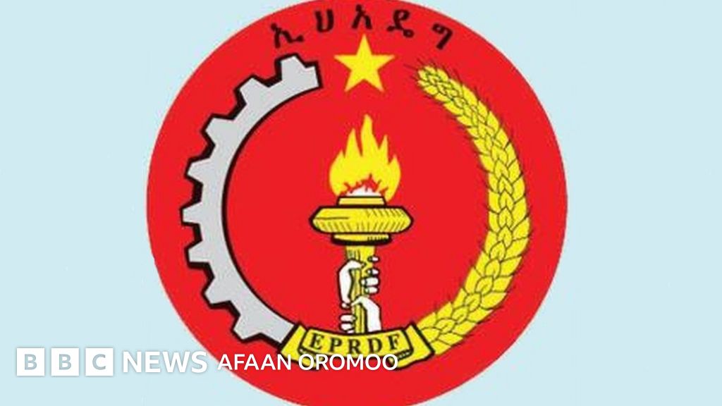 Ibsi Koree Hoji Raawwachiiftuu ADWUI waan haaraa homaa hin qabu jedhame ...