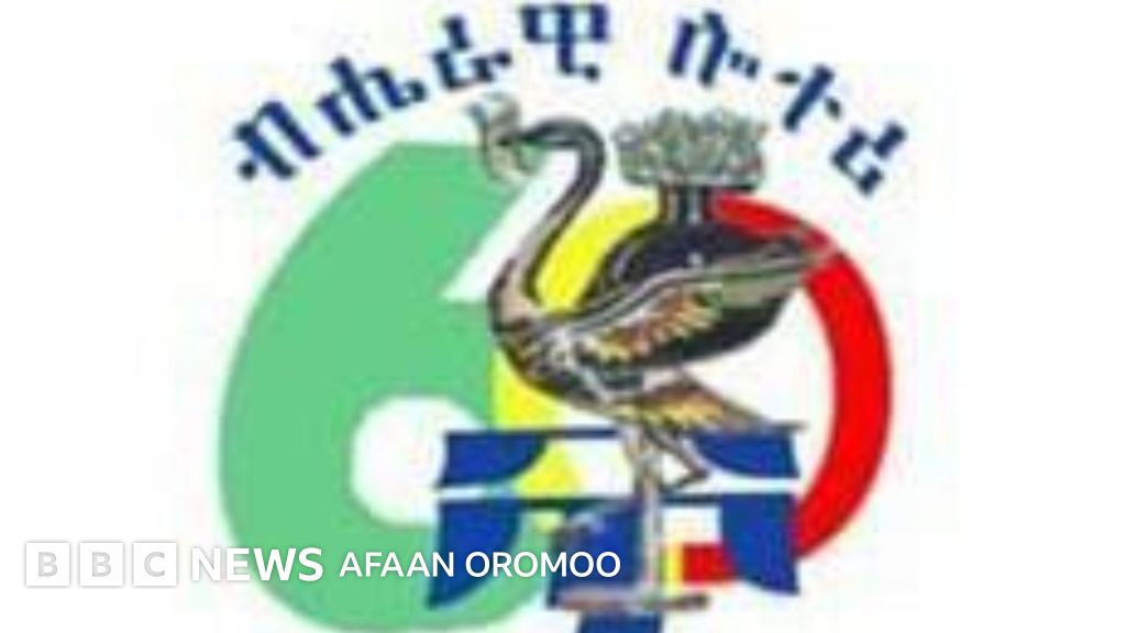 Namni lootarii qaammee abbaa birrii miiliyoona 16 injifate hin baramne ...