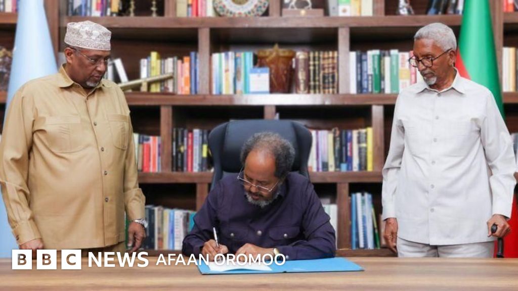 Somaaliyaan dhimma waliigaltee Itoophiyaafi Somaaliilaand irratti ...