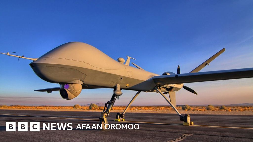 Diroonii: Xiyyaarota nam-maleeyyii dirree waraanaatti akkaataa lolaa ...