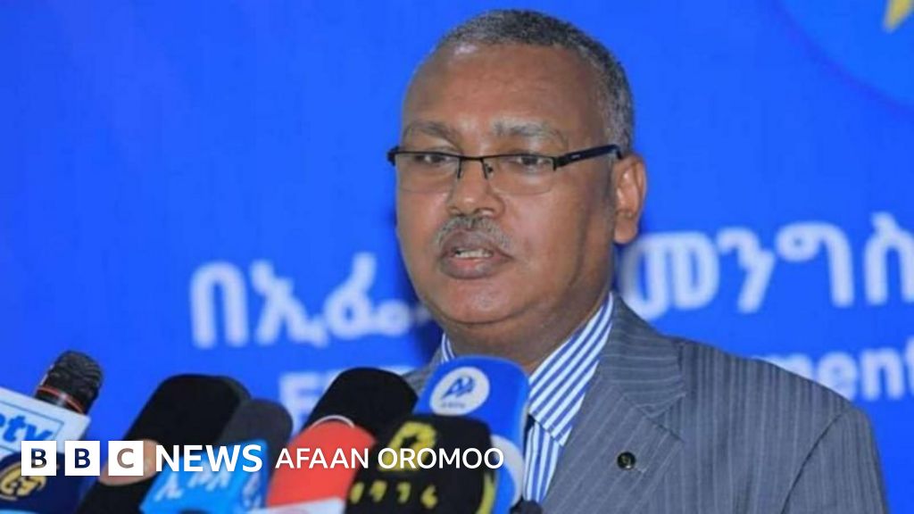 Naannoon Amaaraa %90 mootummaa naannichaa harka jira- Laggasaa Tulluu ...