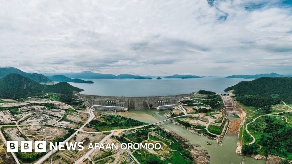 Aanga'oonni Afrikaa sirna eebba Hidha Haaromsaarratti maal jedhan ...