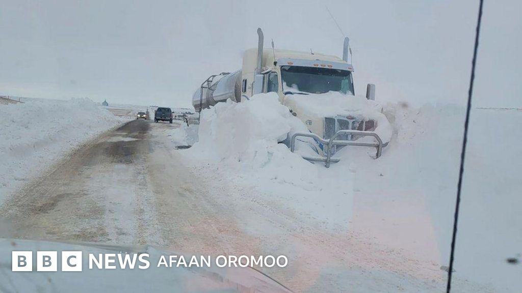 US, Kibba Daakotaatti caabbiifi qorri hammaatee namoonni wayyaa isaanii ...