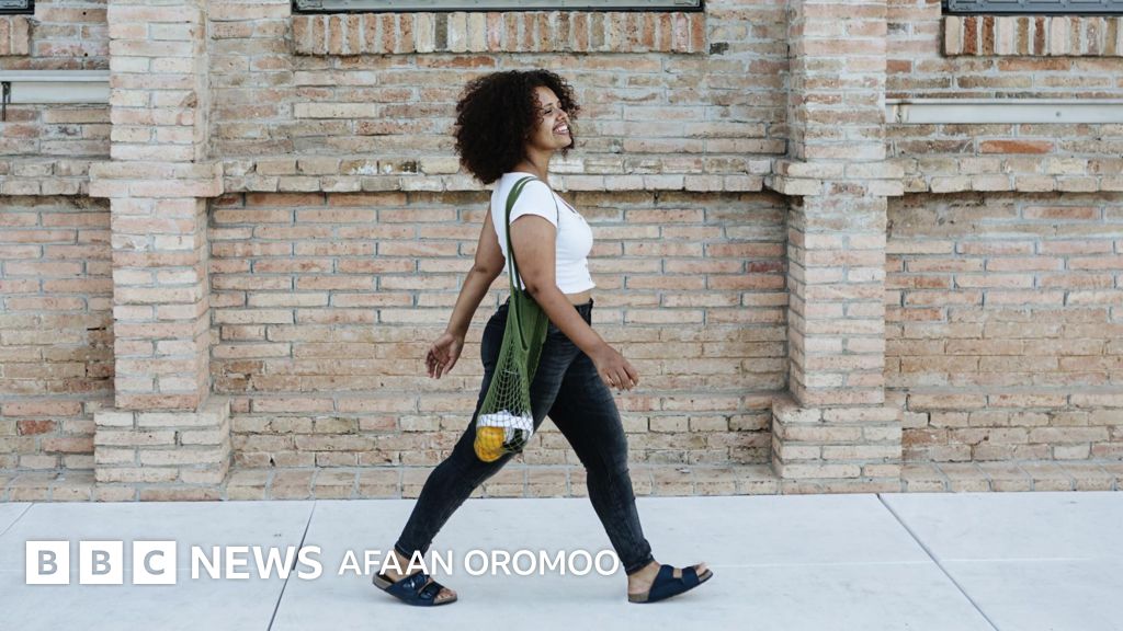 Guyyaatti tarkaanfii 5000 lafoo deemuun du'a yeroo malee hambisa ...