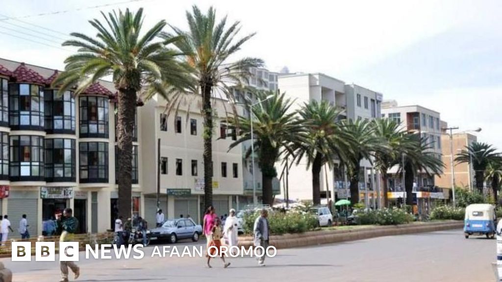 Baahirdaaritti loltoonni mootummaafi hidhattoonni Faannoo meeshaalee ...