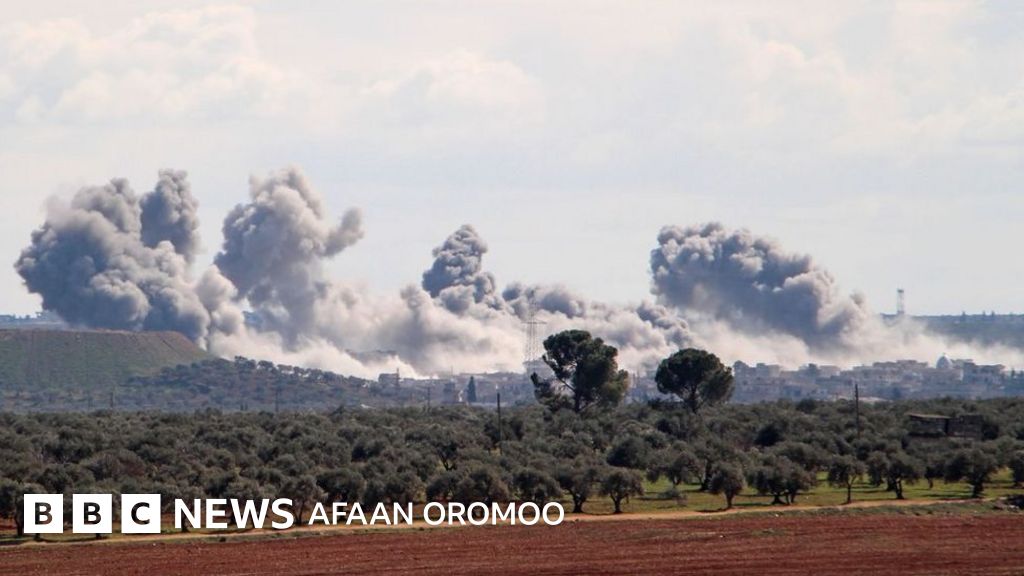 'Haleellaa diroonii Tarkiitiin 'loltoonni Sooriyaa 19 ajjeefaman' - BBC ...