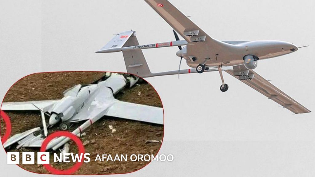 Waayee diroonii Horro Guduruu keessatti kufe jedhamee waan hanga ammaa ...