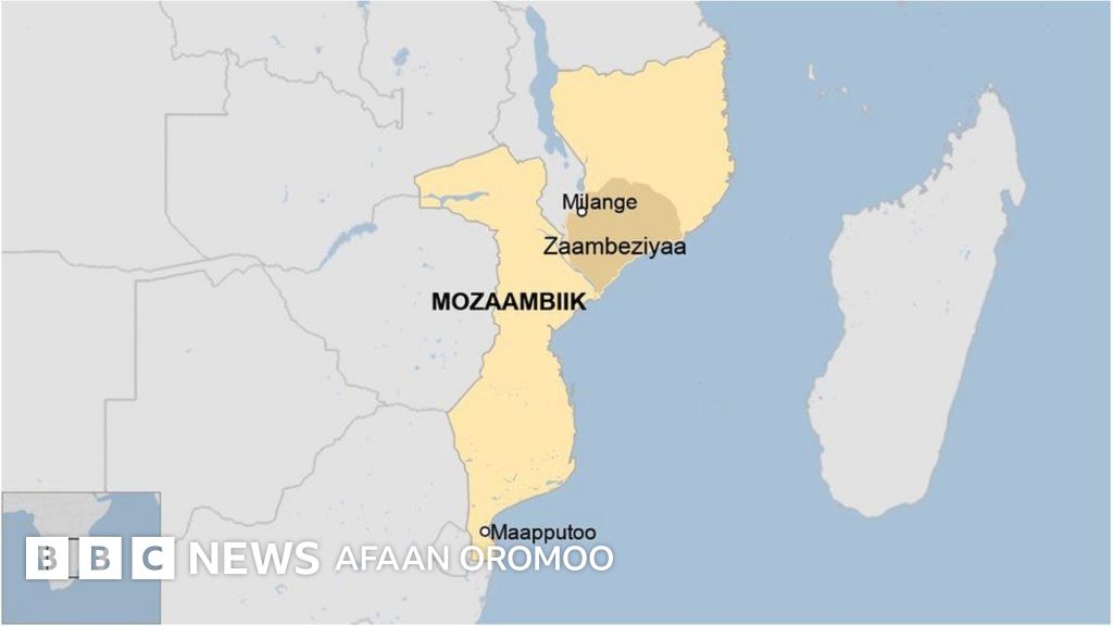 Namichi mataa fi qaama saalaa namaa mure gurguruuf ture qabame - BBC ...