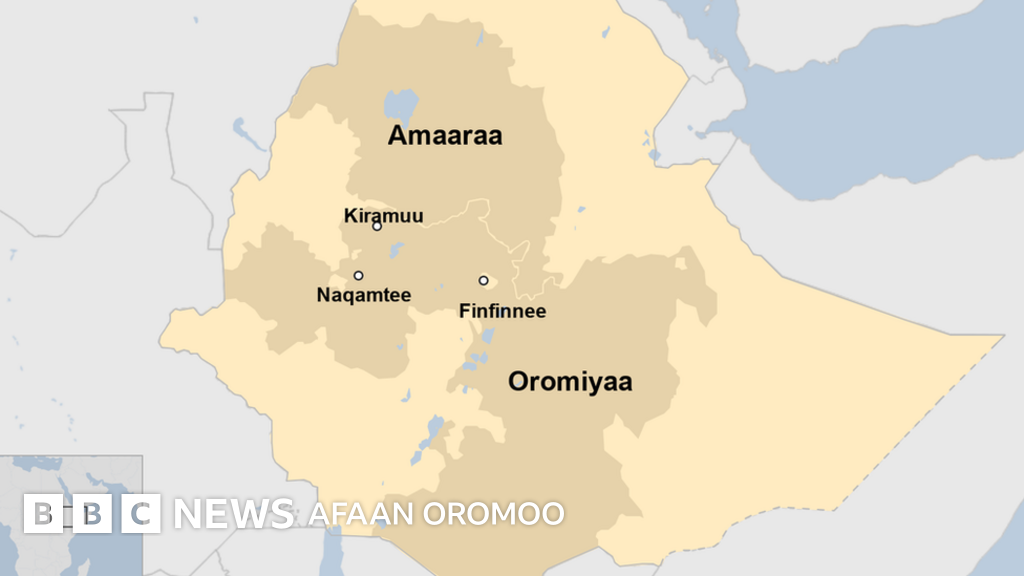 Nageenya Oromiyaa: 'Uummanni Oromoo hundi 'Shaneedha' jedhanii dararaa ...