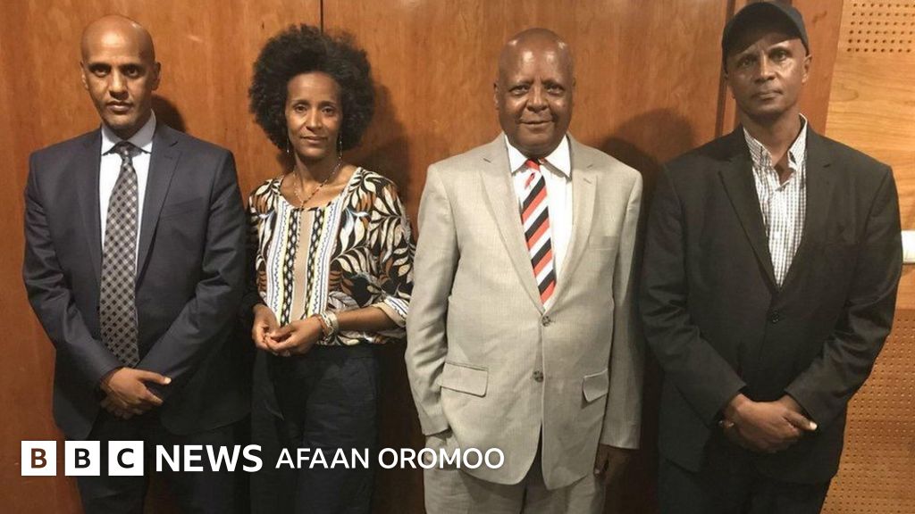 Mararaa Guddinaa: 'Abiy ADWUI hogganuu yoo danda'e seenaa dalaguu danda ...