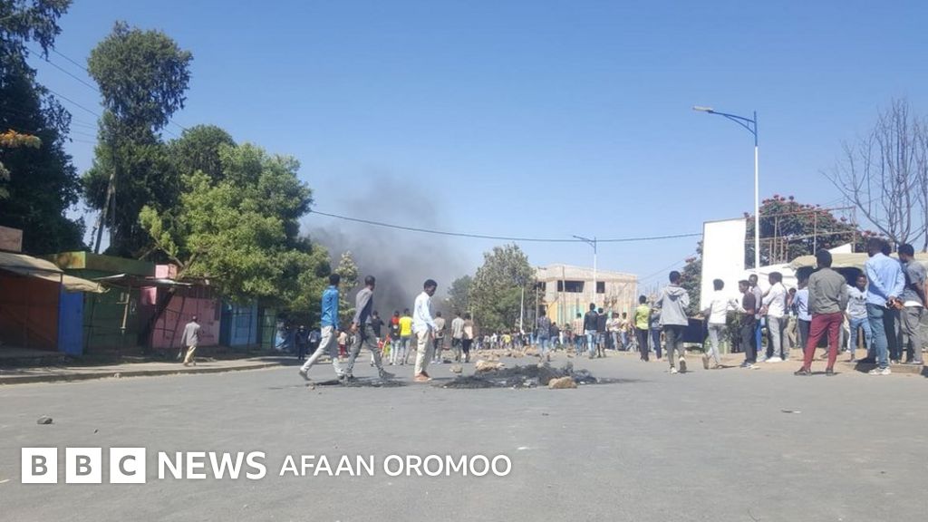 Kantiibaa magaalaa Amboo: 'Qaamolee nageenyaa keessaa kan to'annoo jala ...