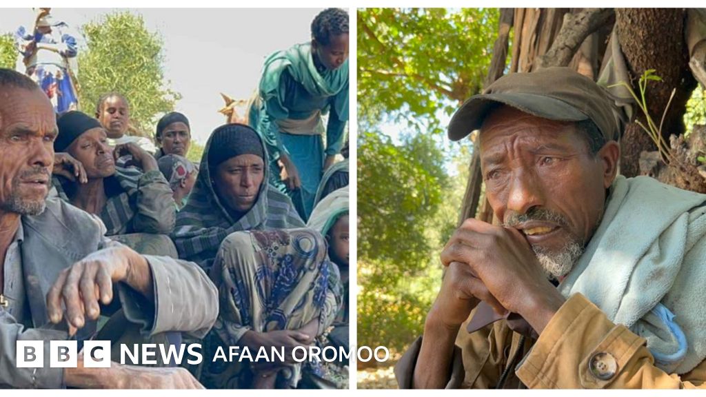 Waa'ee dargaggeessa Salaaleetti 'Faannootiin' haala suukaneessaan ...