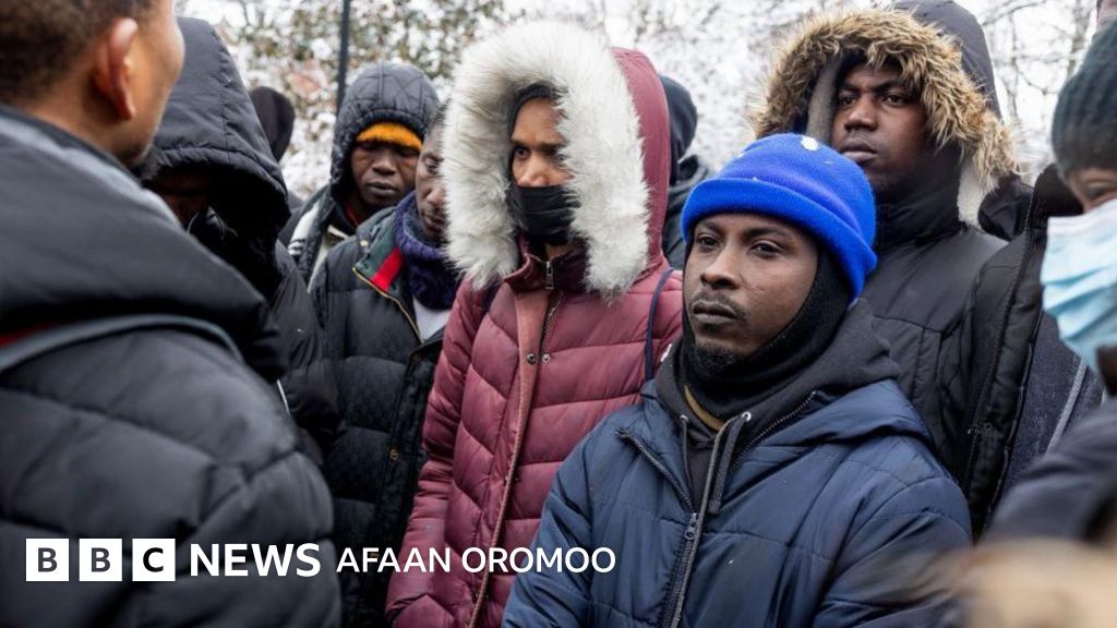 Koolu galtoonni Afrikaa filannoo Ameerikaa dhufuuf maaf yaadda'an ...