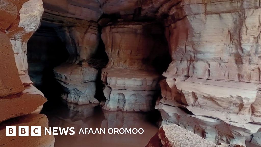 Waa'ee Holqa Soof Umar qabxiiwwan beekuu qabdan shan - BBC News Afaan Oromoo