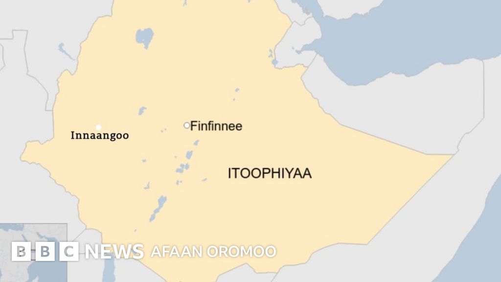 Wallagga Lixaatti namoonni ajjeefamuu jiraattonni himan - BBC News ...