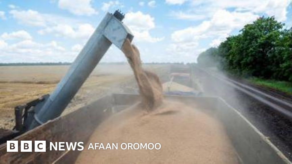 Yukireen qamadii alatti akka ergituuf waliigalteen baatii lamaaf ...