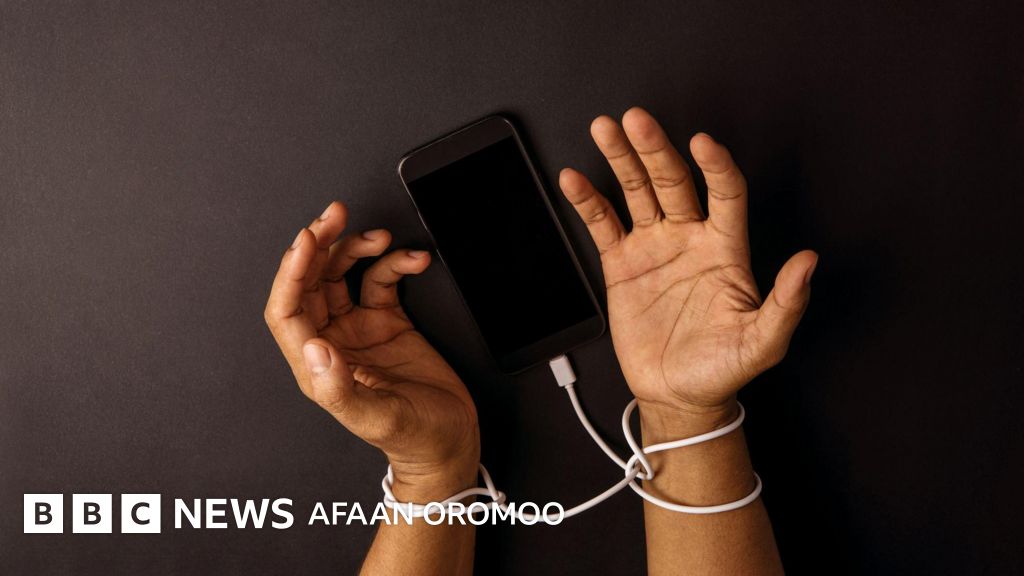 Dubartoonni miidhaa dijitaalaa dabalaa dhufeen maaf caalaa saaxilamu? Attamiin of eeguu danda'u ...