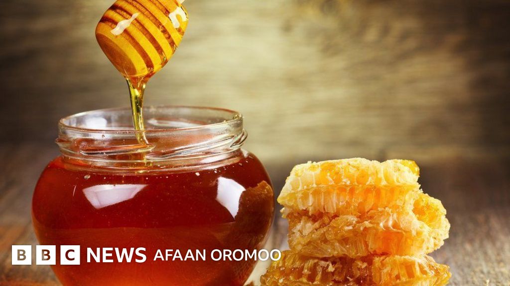 Faayidaalee dammaa kanniin beektuu? Damma nyaachuu kan qabu eenyu ...