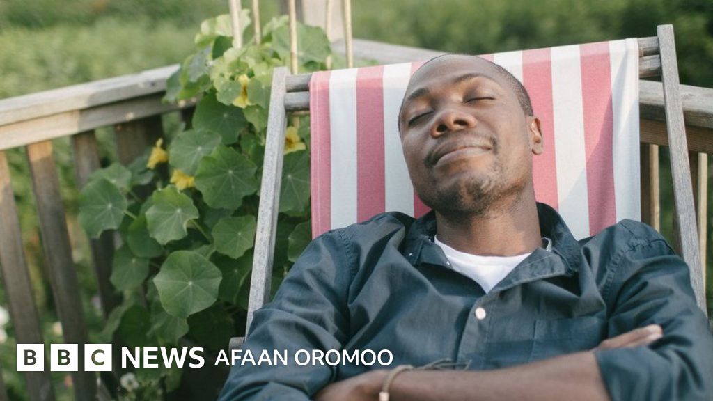 Hirribni sillimii guyyaa rafnu dulluma hir'isa - Qorannoo - BBC News ...