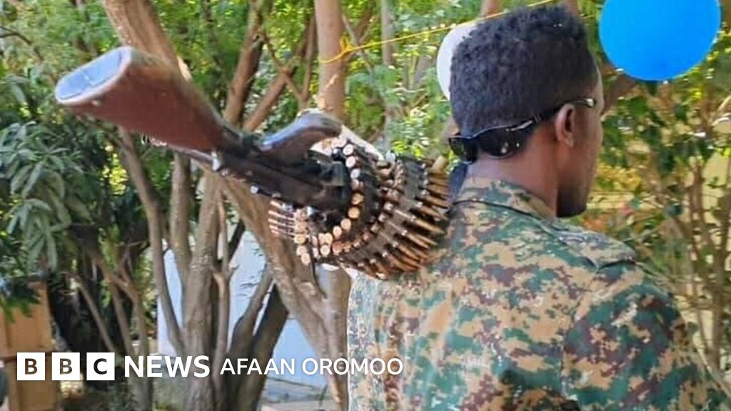 Waraana Tigraay: Hirmaannaan humna addaa naannolee Itoophiyaa bifa ...