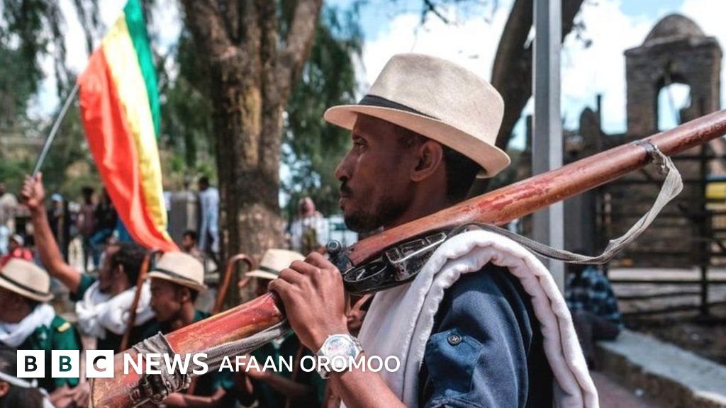 Waraana Tigiraay: Jiraattoonni Kaaba Walloorraa waraana baqachuun ...