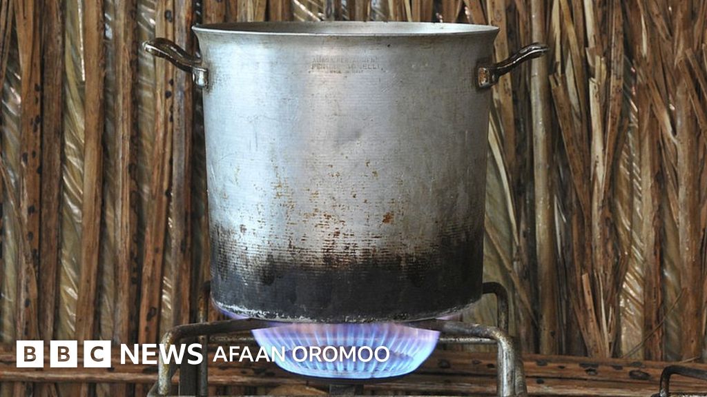 Koroonaavaayiraas: Odeessaaleen sobaa Afrikaa keessa babal'achaa jiran ...