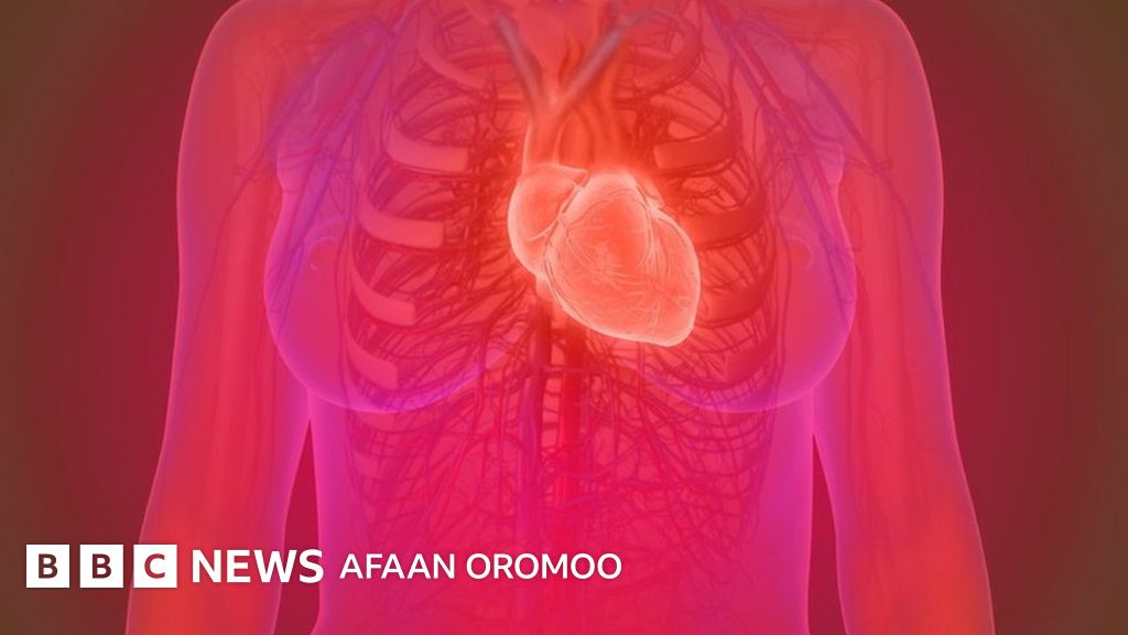 Umuriin onnee namaa dhibee onneef sababa tahuu danda'a - BBC News Afaan ...