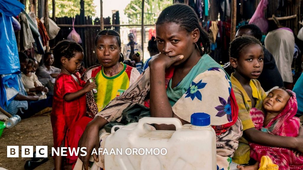 Komishinar Mitikkuu: ''Gogiinsa caalaa walitti bu'iinsatu hedduu qe ...