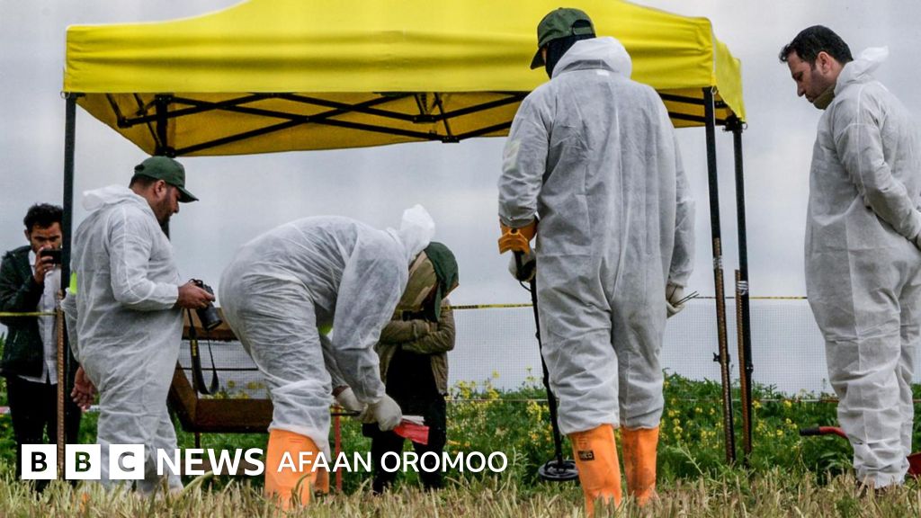 Biyyoonni addunyaa 70 yakkamtoota dabarsanii walii kennuufi wal tumsuuf ...