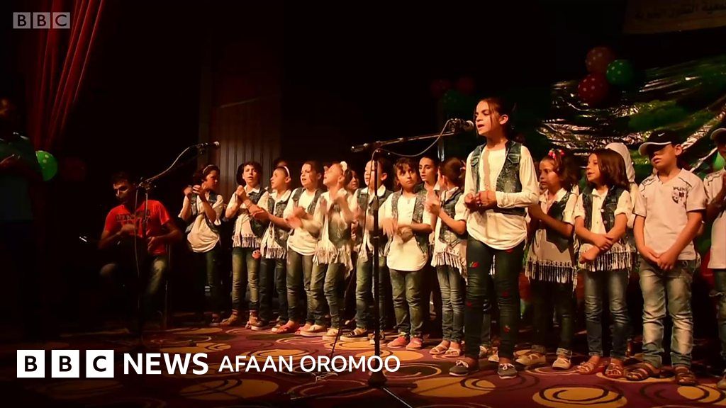 Shamarree Siiriyaa lafa lolaan miidhame gidduutti weellisstu - BBC News ...