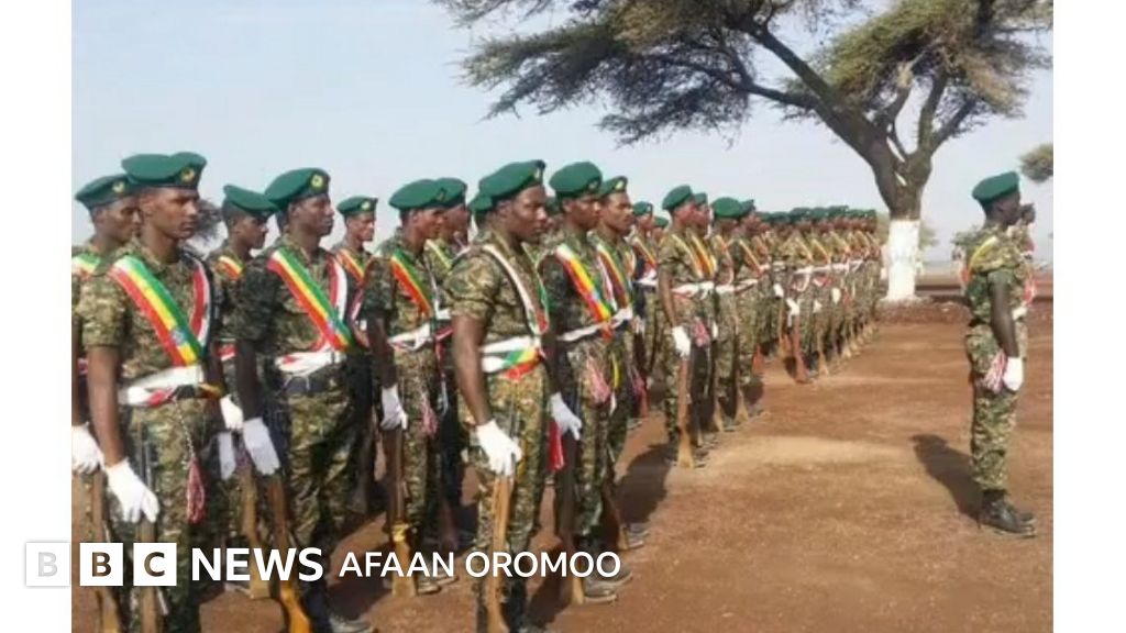 Itoophiyaa: Gujiitti walitti bu'iinsa uumameen qaamoleen nageenyaa ...