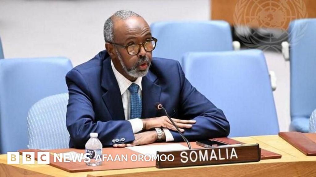 Somaaliyaan daangaakoo cabsitee seente jechuun Mana-maree Nageenyaa UN ...