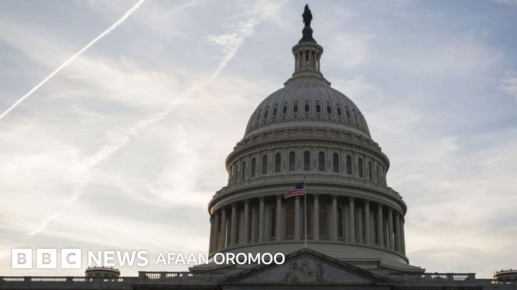Ameerikaa: Biyyoota kamirratti, qoqqobbii akkamiifaa keesse? - BBC News ...