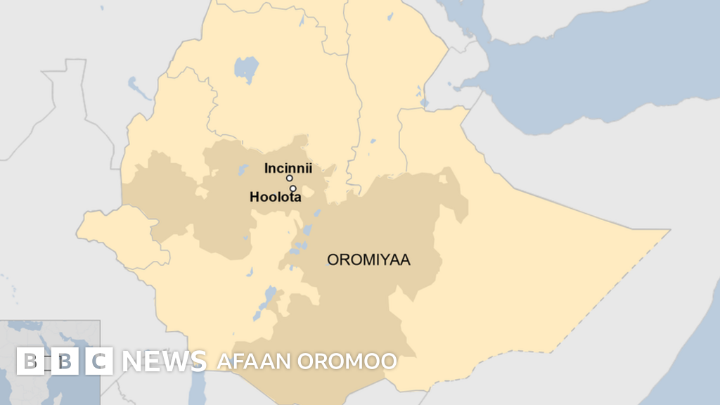 Lola Oromiyaa: Ada'aa Bargaatti namoonni nagaa hedduun poolisiin ...