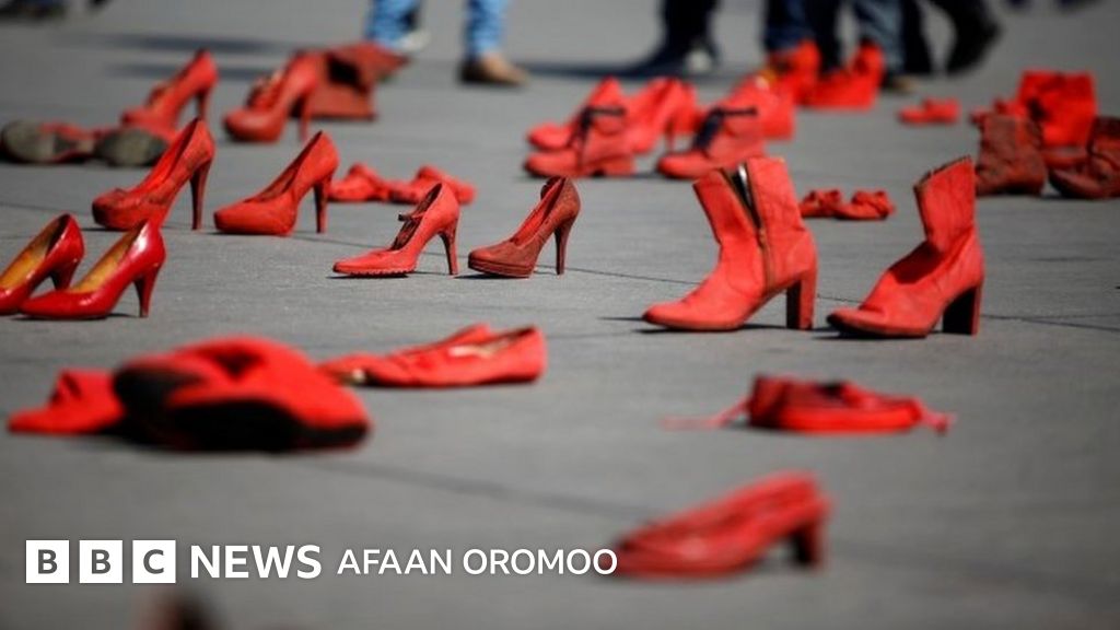 Ingiriidaa Iskaamiilaa: Meeksikootti erga shamarreen jaalallee ...